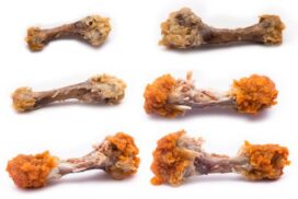 My Dog Ate Fried Chicken What Should I Do? | Our Fit Pets